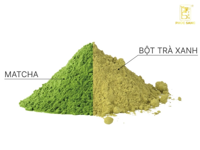 Trà xanh và matcha có gì khác nhau? So sánh chi tiết từ A-Z